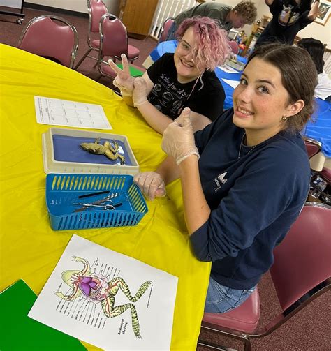 Summer Lab Intensives