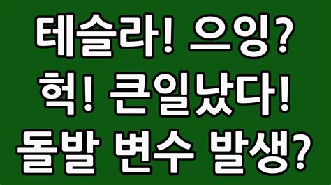 테슬라 주식 주가 전망 Tsll 삼슬라 Tqqq Soxl Tmf 타이거 Tiger 차이나 전기차 Solactive 아이온큐