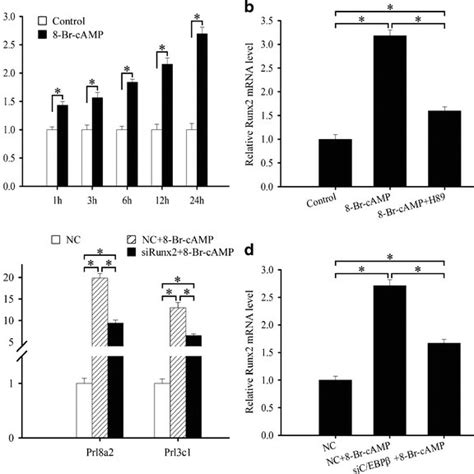 effects of runx2 on the differentiation of uterine stromal cells a b
