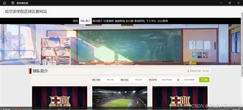 基于ssmvue哈尔滨学院足球比赛网站开题报告程序论文足球文化展示网站研究内容 Csdn博客