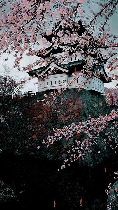 가족은 아버지와 어머니가 있는 곳이고 나는 그 평화로운 순간을 찾기 위해 모든 것을 바쳤습니다 Youtube