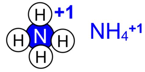 5 1 Acp Memorizing Polyatomic Ions Flashcards Quizlet
