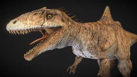 Concavenator Buy Royalty Free 3d Model By Robertfabiani 50b14e0