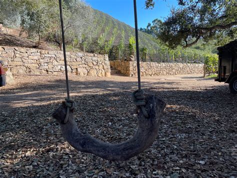 Moraga Bel Air Vineyards And Winery Los Angeles Hidden Wine Gem