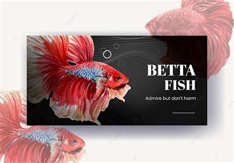 소셜 미디어 및 커뮤니티 수채화 벡터 일러스트 레이 션에 대 한 샴 싸우는 물고기 개념 디자인 트위스터 템플릿 템플릿 Psd 다운로드 디자인 자료 다운로드