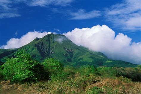 Martinique Le Precheur View Of Mt Pelee Volcano David Sanger