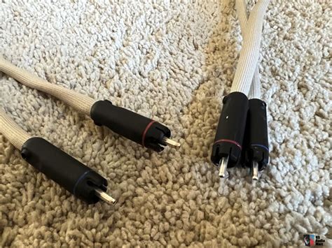 Marigo Audio Labs Analog 12 Extreme 7ft Bi Wire Terminated Speaker Cables Photo 4025833 Uk