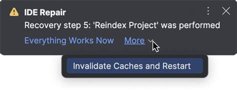 Repair IDE IntelliJ IDEA Documentation