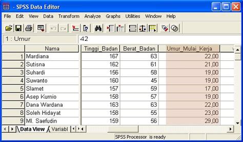 AlbaruBlog S Input Data Spss