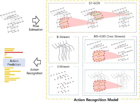 architecture of the skeleton data based action recognition model