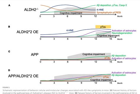 Figure 1 From Impact Of Common Aldh2 Inactivating Mutation And Alcohol