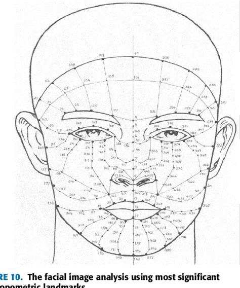 Figure 1 From 2d 3d Facial Image Analysis For Identification Of Facial