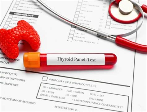Introduction To Thyroid Gland Test Dubai Lab Tests