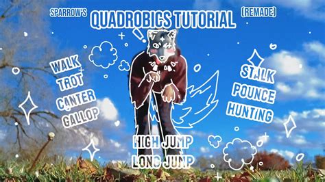 Quadrobics Tutorial High Jump Gallop Trot And More Youtube