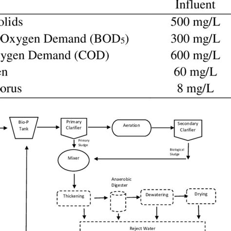 Nh4 N Concentrations Of Raw Influent And Effluent Download Scientific