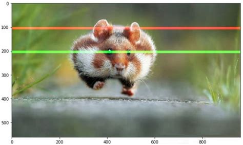 使用numpy和opencv完成基本图像的数据分析（part i） 51cto