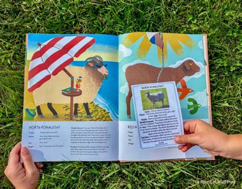 Sheep Unit Study By The Roost At Wolf Pine Tpt