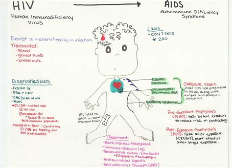 Hiv And Aids Nursing Bundle Concept Maps Doodle Pathophysiology