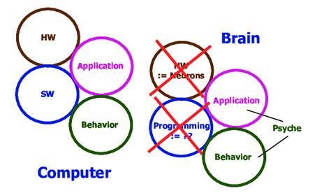 Comparison Of Computer And Brain Download Scientific Diagram