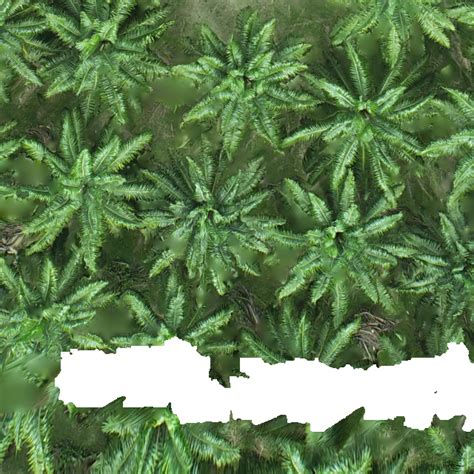 Palmtreedetection Object Detection Dataset And Pre Trained Model By