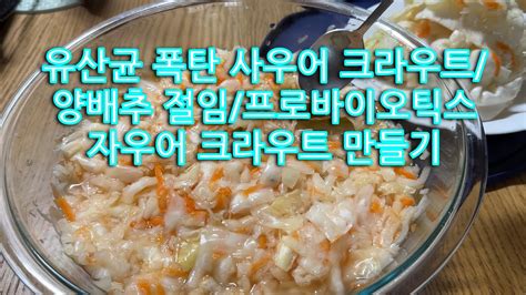 장에 좋은 유산균 폭탄양배추 절임독일식 양배추 김치사우어 크라우트 만들기프로바이오틱스home Made