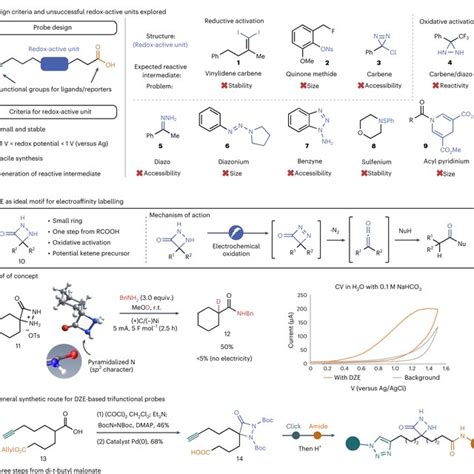 Use Of Ecal Enables Targeted Covalent Capture Across A Diverse Set Of