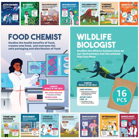 Buy 16 Classroom Science S For Classroom Elementary School 11x14in Science Classroom S