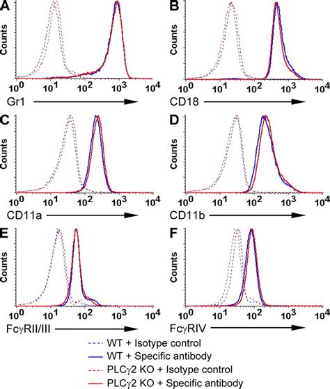 Expression Of Cell Surface Molecules On Plcγ2−− Neutrophils