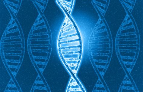 Visual Language Correlations Between Dna And Psychedelics Part One
