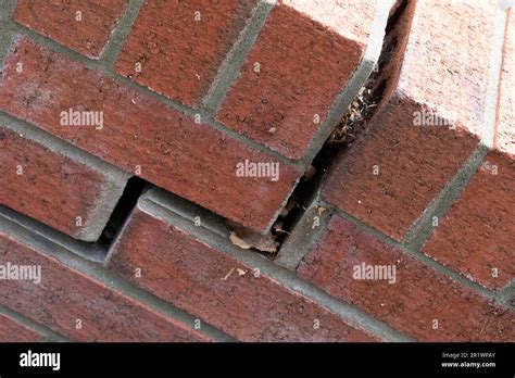 Subsidence Downward Vertical Movement Earths Surface Natural