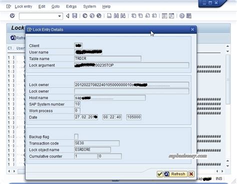 How To Monitor SAP Lock Entries SAP Basis Easy
