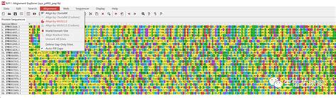 Tbtools 基因家族分析 进化树、motifs、结构域 知乎