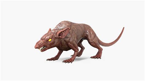 Mutant Rat 3d Model Turbosquid 2146668