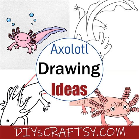 15 Swan Drawing Ideas How To Draw Swan DIYsCraftsy