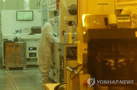 학생 설계 반도체를 실물로…내 칩 서비스 올해 6배 확대