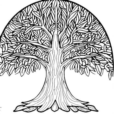 Tree Coloring Page Color Anything
