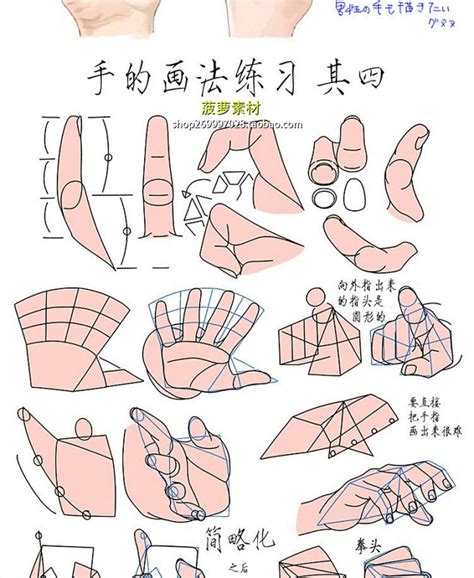手的绘画练习 基础造型 手部结构 Cg 原画 插画 动漫 参考素材 淘宝网