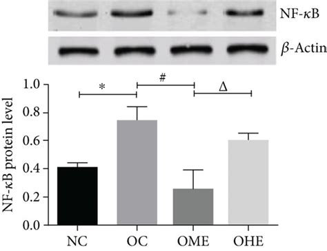 Effect Of Obesity And Exercise On The Mrna Level And Protein Expression
