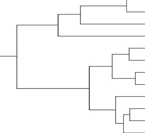 Upgma Unweighted Pair Group Method With Arithmetic Mean Cluster Tree