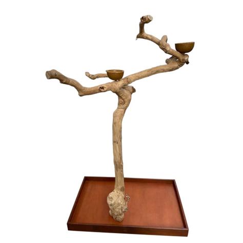 Arbre De Java L Sur Roulettes Pour Grand Et Moyen Perroquet Bl62562