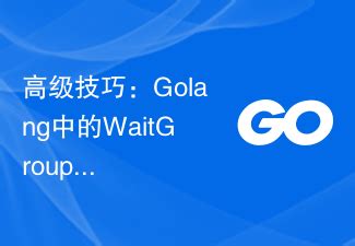 Advanced Tips: WaitGroup and Coroutine Scheduling in Golang-Golang-php.cn