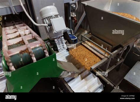 Grain Sorting Machine Paddy Machine Sorts Grains Of One Crop Separates Grain Peeling Products