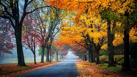 Autumn Pathway Hd Wallpapers Wallpaper Cave