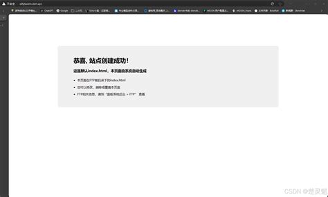 [linux]从零开始的nginx反向代理配置及运用教程 sillytavern反向代理 csdn博客