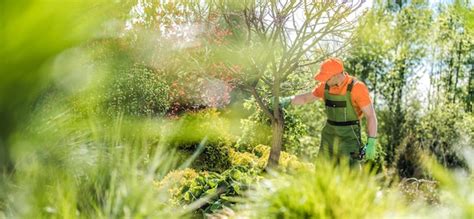 Premium Photo Garden Tree Condition Check