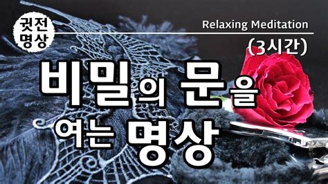 3시간 비밀의 문을 여는 명상 Youtube