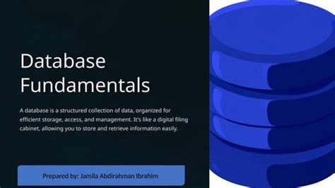 Dcnd Data Models And Data Standardspptx