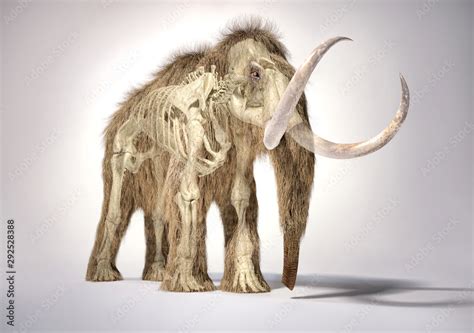 Woolly Mammoth With Skeleton In Ghost Effect Front Perspective View