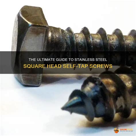 The Ultimate Guide To Stainless Steel Square Head Self Tap Screws