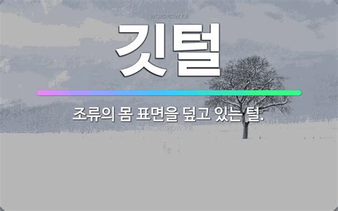 🌟깃털 조류의 몸 표면을 덮고 있는 털 표준국어대사전